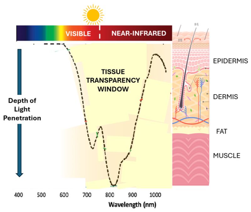 Depth of light penetration IR | NEOtech Coatings