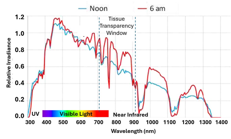 Tissue Transparency Window | NEOtech CoatingsNEOtech Coatings
